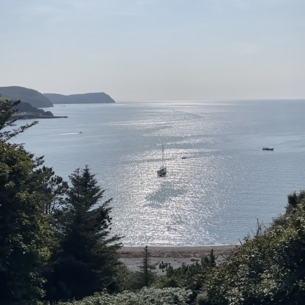 Needle Felted 2D Landscape Artwork Tutorial - Helen Winter Textile Art
